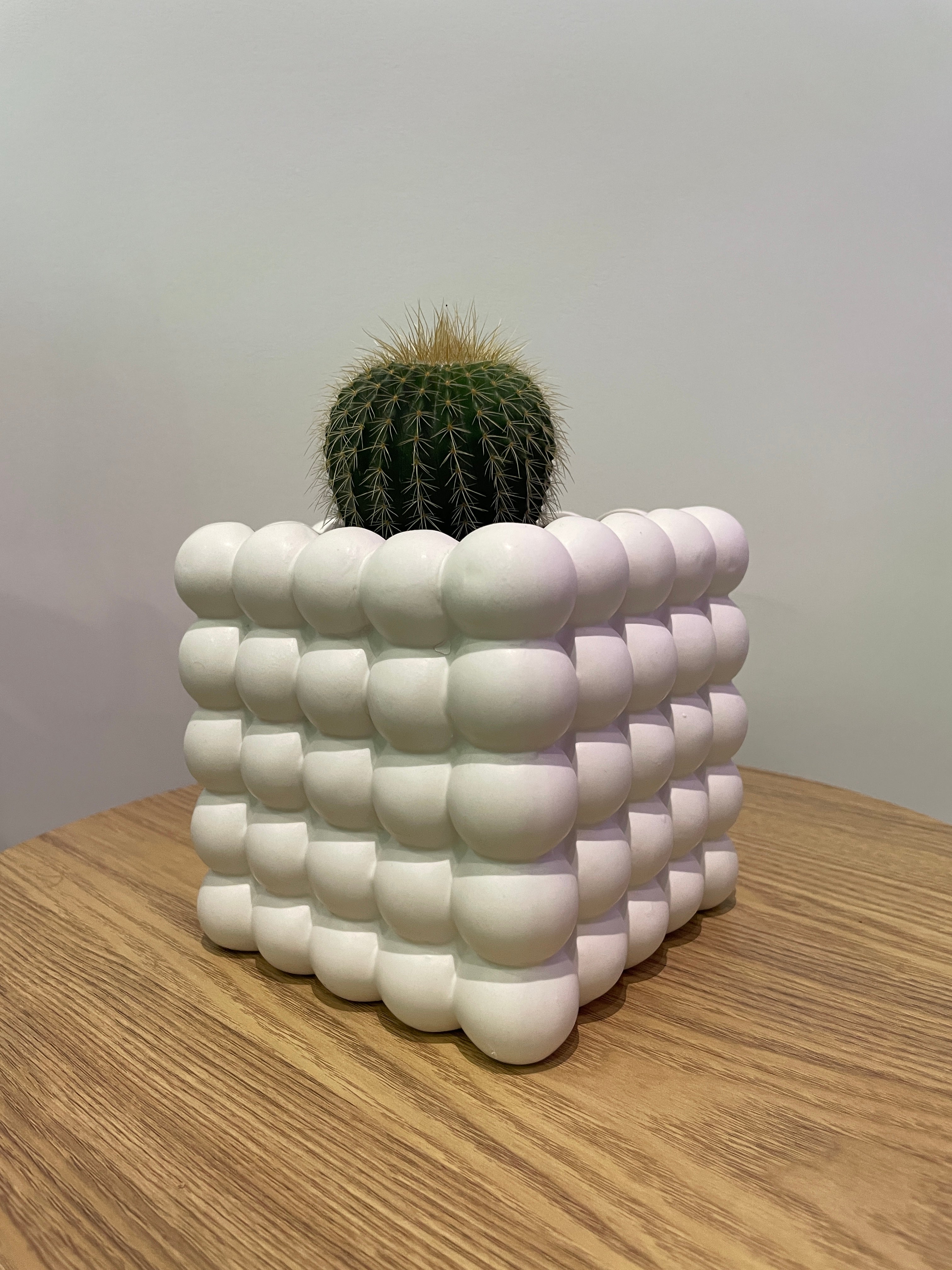 Addie Bubble Planter | Bondi Plant Co