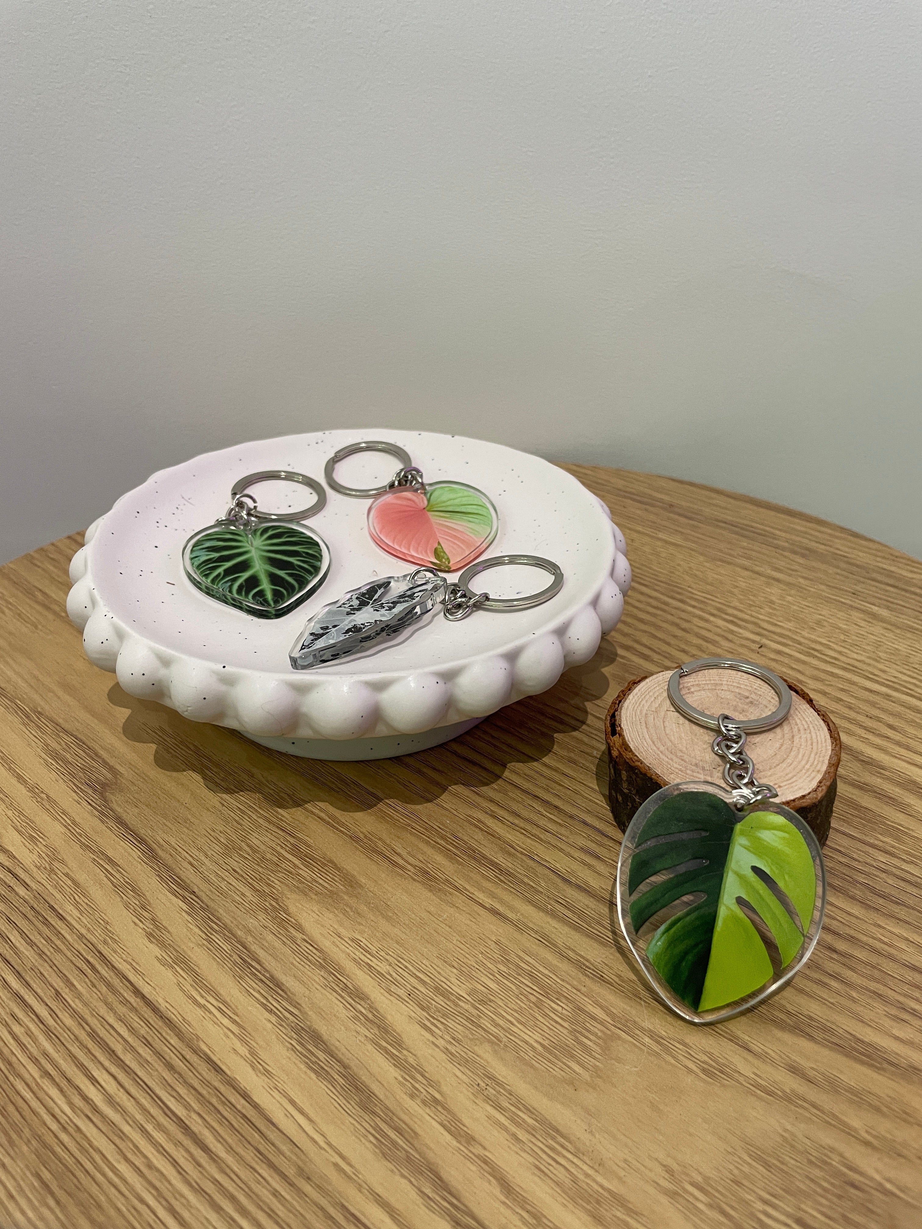 Gifts and Accessories | The Bondi Plant Company