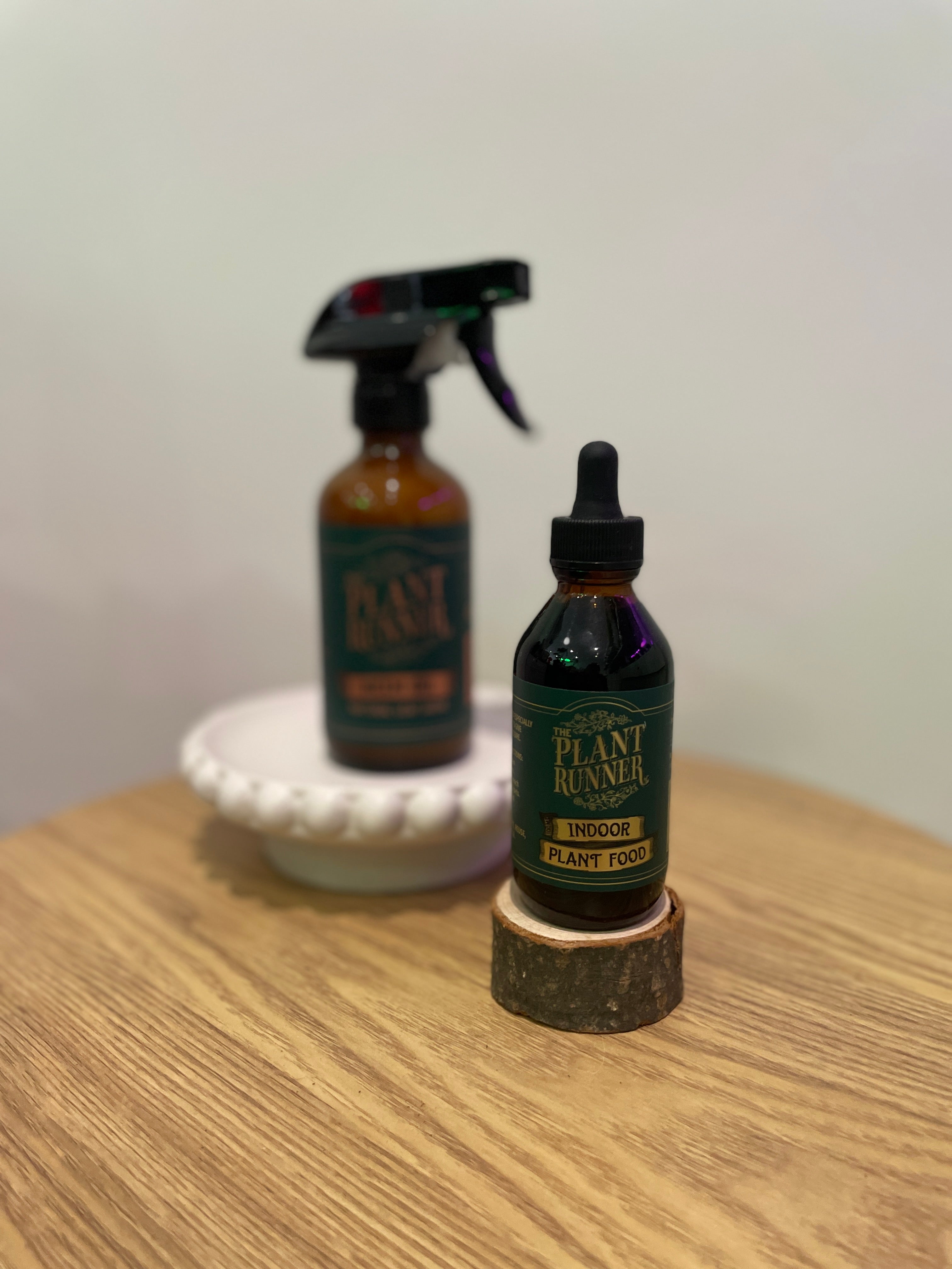 Plant Care | The Bondi Plant Company