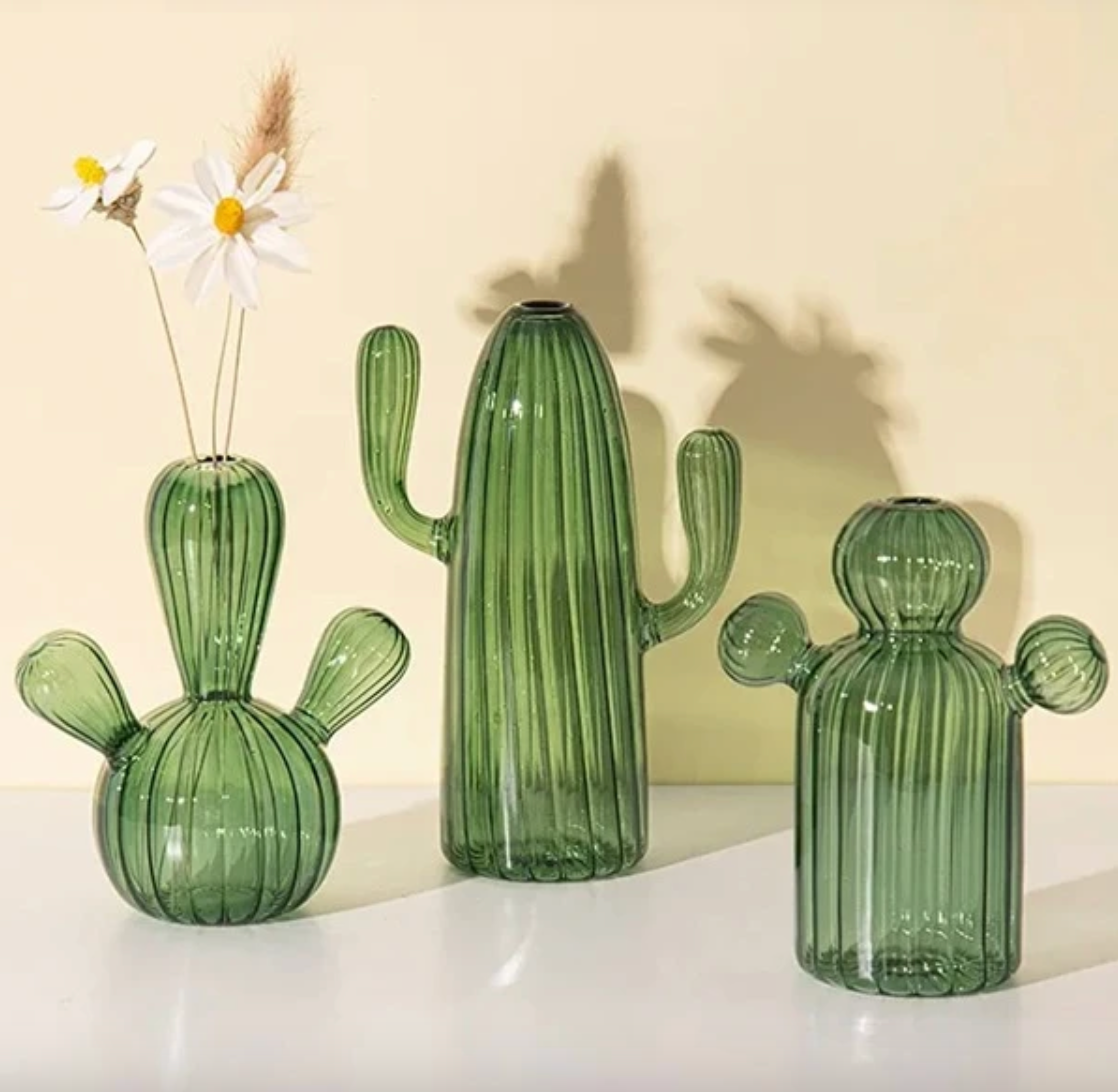 Cactus Propagation Station/Vase | The Bondi Plant Company